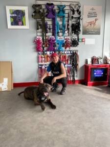 Sheldon Dog Services | Professional & Reliable Pet Care